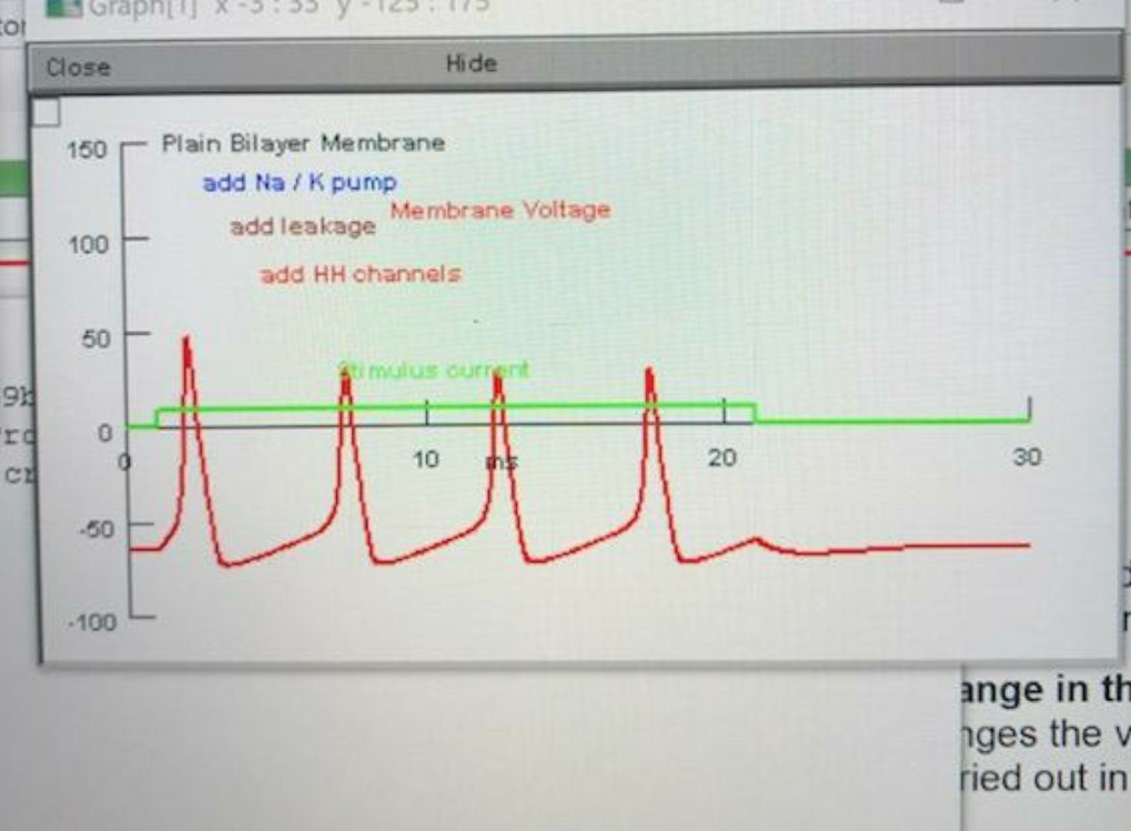 This graph is about sodium potassium pump.. my | Chegg.com