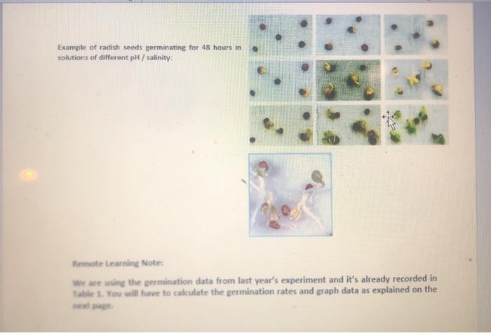Procedure For this lab we usually set radish seeds to | Chegg.com