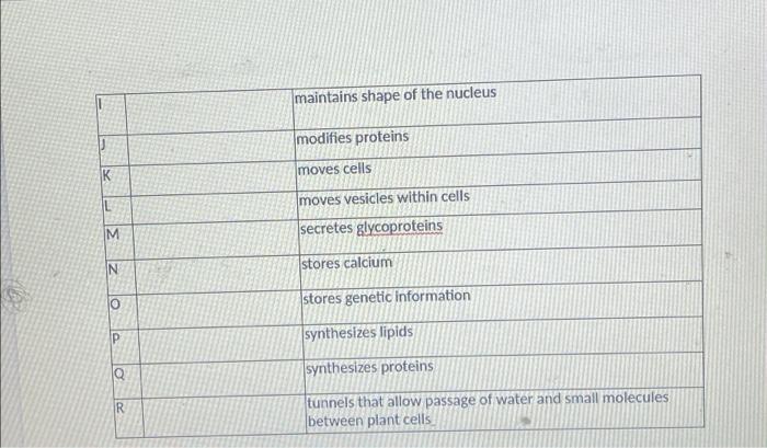Solved # A Part 1. This activity will help you identify | Chegg.com