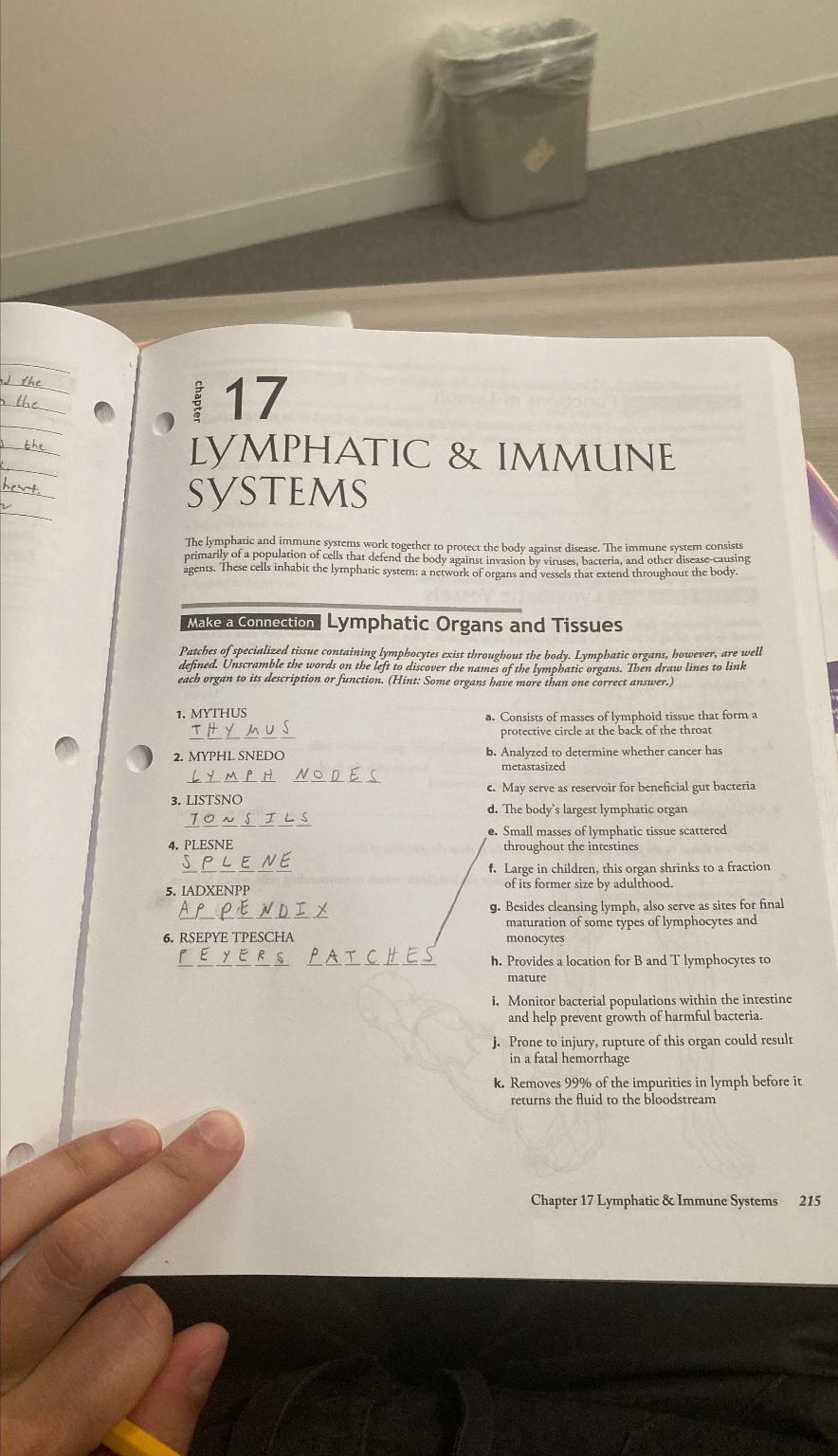 Solved 17LYMPHATIC & IMMUNE SYSTEMSThe lymphatic and immune | Chegg.com