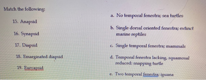 Solved Match the following: a. No temporal fenestra; sea | Chegg.com