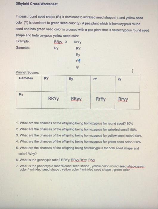 Solved Dihybrid Cross Worksheet In peas, round seed shape | Chegg.com