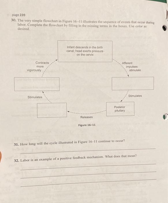 Solved page 220 30. The very simple flowchart in Figure | Chegg.com