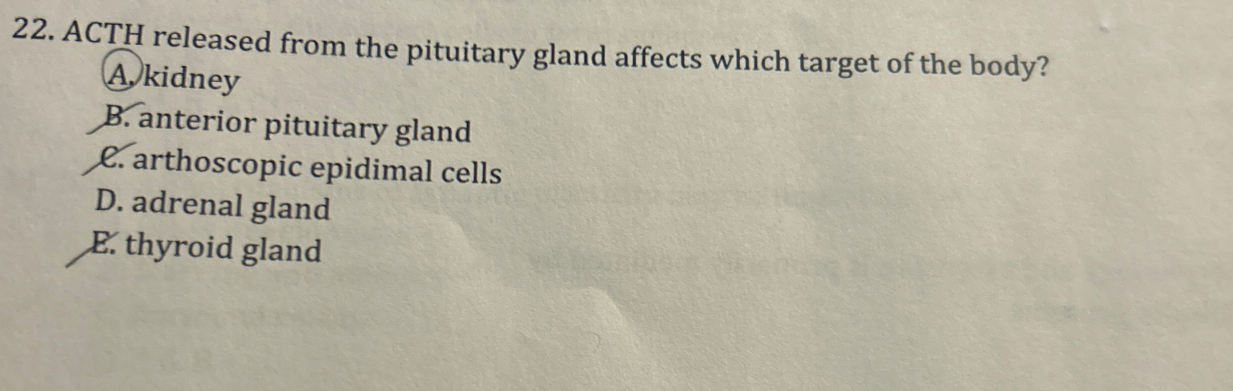 Solved ACTH released from the pituitary gland affects which | Chegg.com