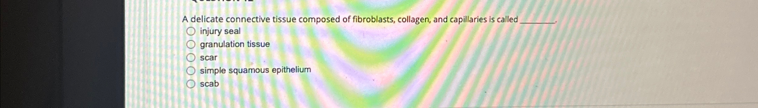 Solved A delicate connective tissue composed of fibroblasts, | Chegg.com Solved A delicate connective tissue composed of fibroblasts, | Chegg.com