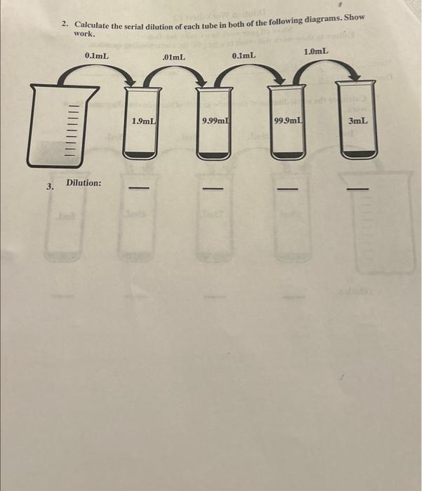 Solved 2. Calculate the serial dilution of each tube in both | Chegg.com