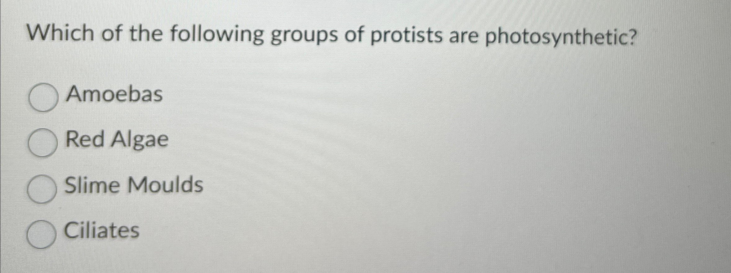 Solved Which of the following groups of protists are | Chegg.com