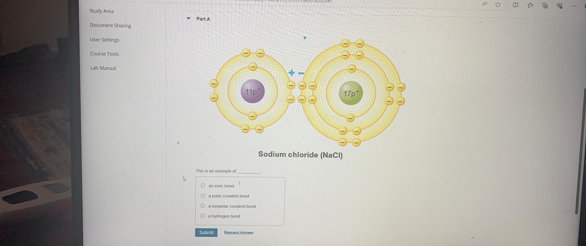 Solved Study AreaDocument SharingUser SettingsCourse | Chegg.com