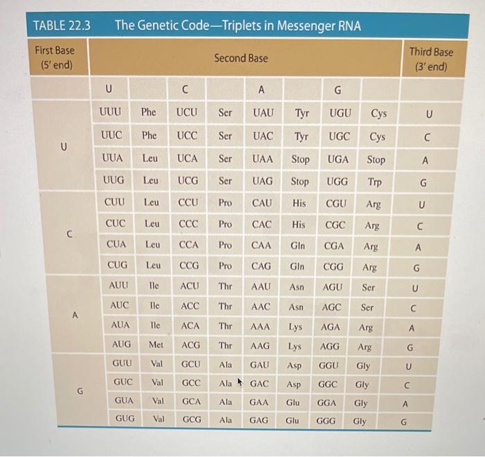 Solved Consider The Following Mrna Sequence 5 Acc Uua
