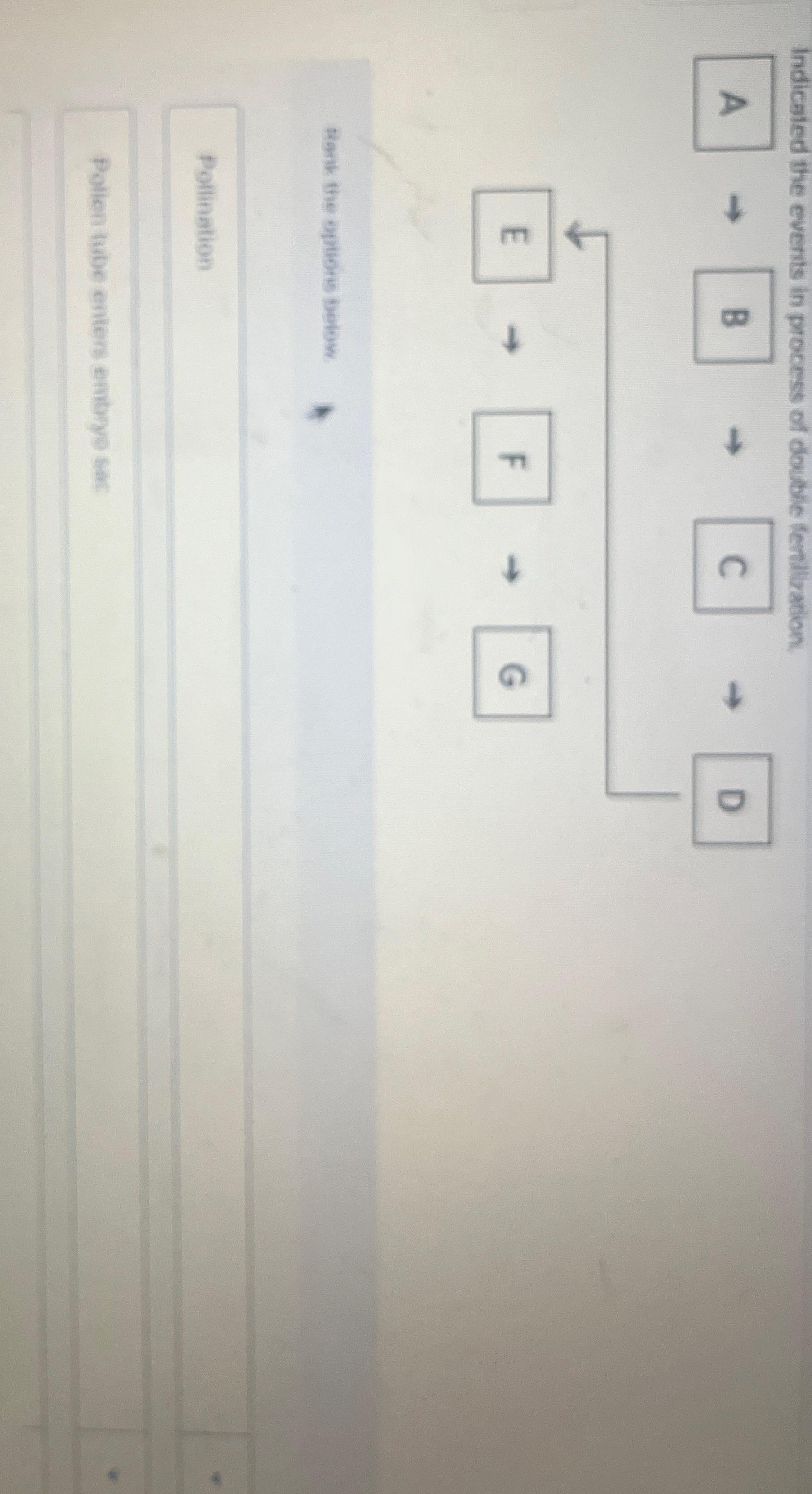 Solved Indicaied the events in process of double | Chegg.com