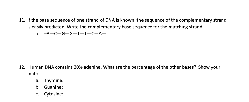 Solved 11. ﻿If the base sequence of one strand of DNA is | Chegg.com