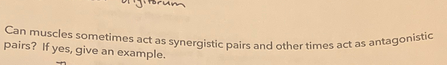 Solved Can muscles sometimes act as synergistic pairs and | Chegg.com