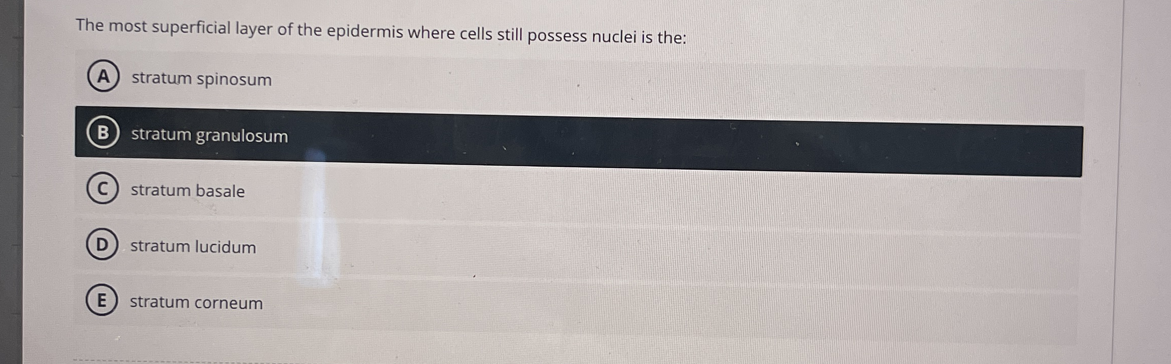 Solved The most superficial layer of the epidermis where | Chegg.com