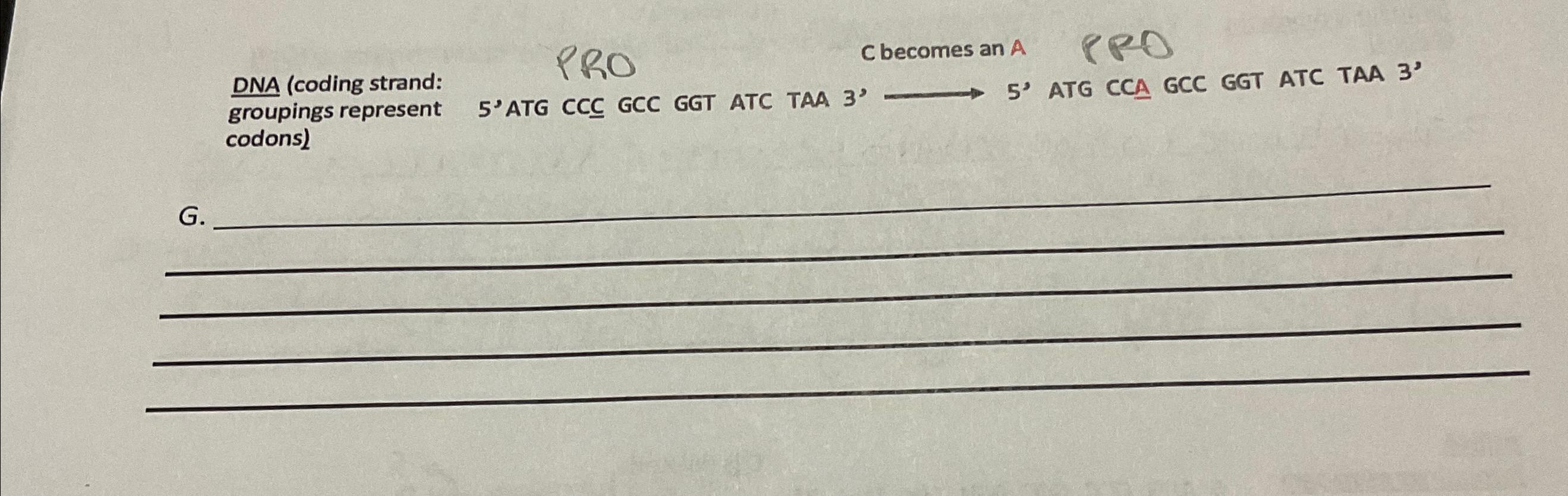 Solved DNA (coding strand:PROC ﻿becomes an APROgroupings | Chegg.com