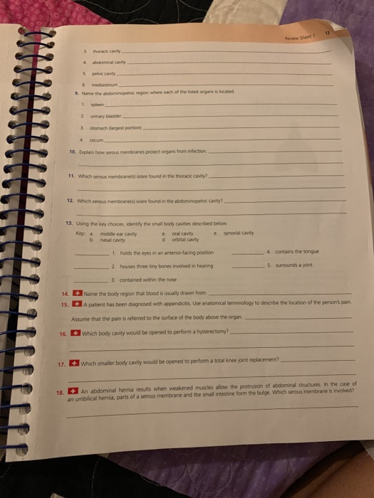 The Language Of Anatomy Review Sheet Exercise 1 Answer Key Exercise 