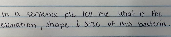 Solved what is the In a sentence plz tell me. elevation, | Chegg.com