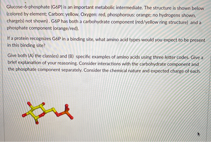 Solved Glucose-6-phosphate (G6P) is an important metabolic | Chegg.com