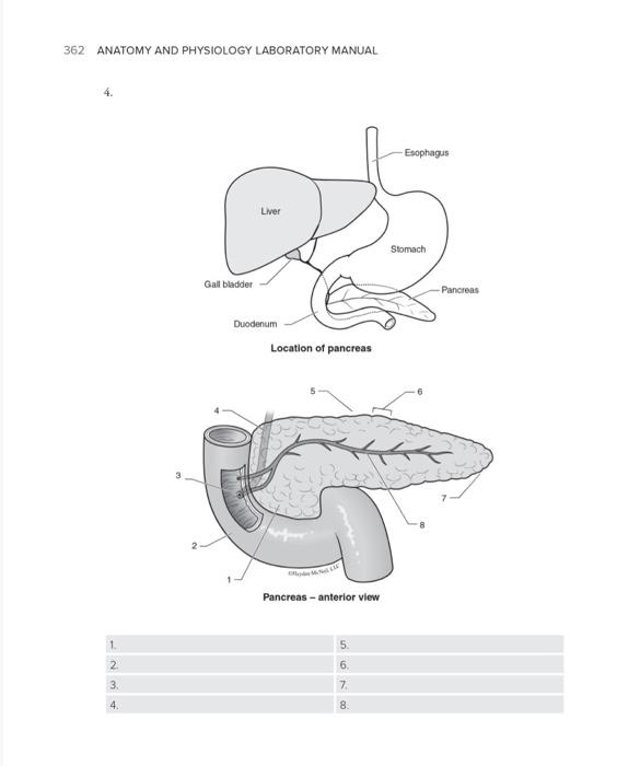 Solved 362 ANATOMY AND PHYSIOLOGY LABORATORY MANUAL | Chegg.com