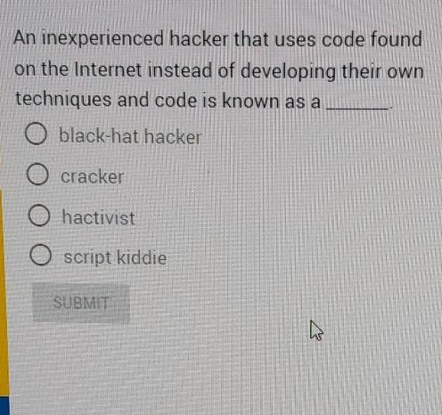 Solved An inexperienced hacker that uses code found on the | Chegg.com
