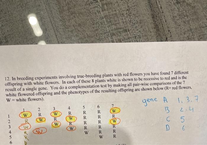 Solved 12. In breeding experiments involving true-breeding | Chegg.com