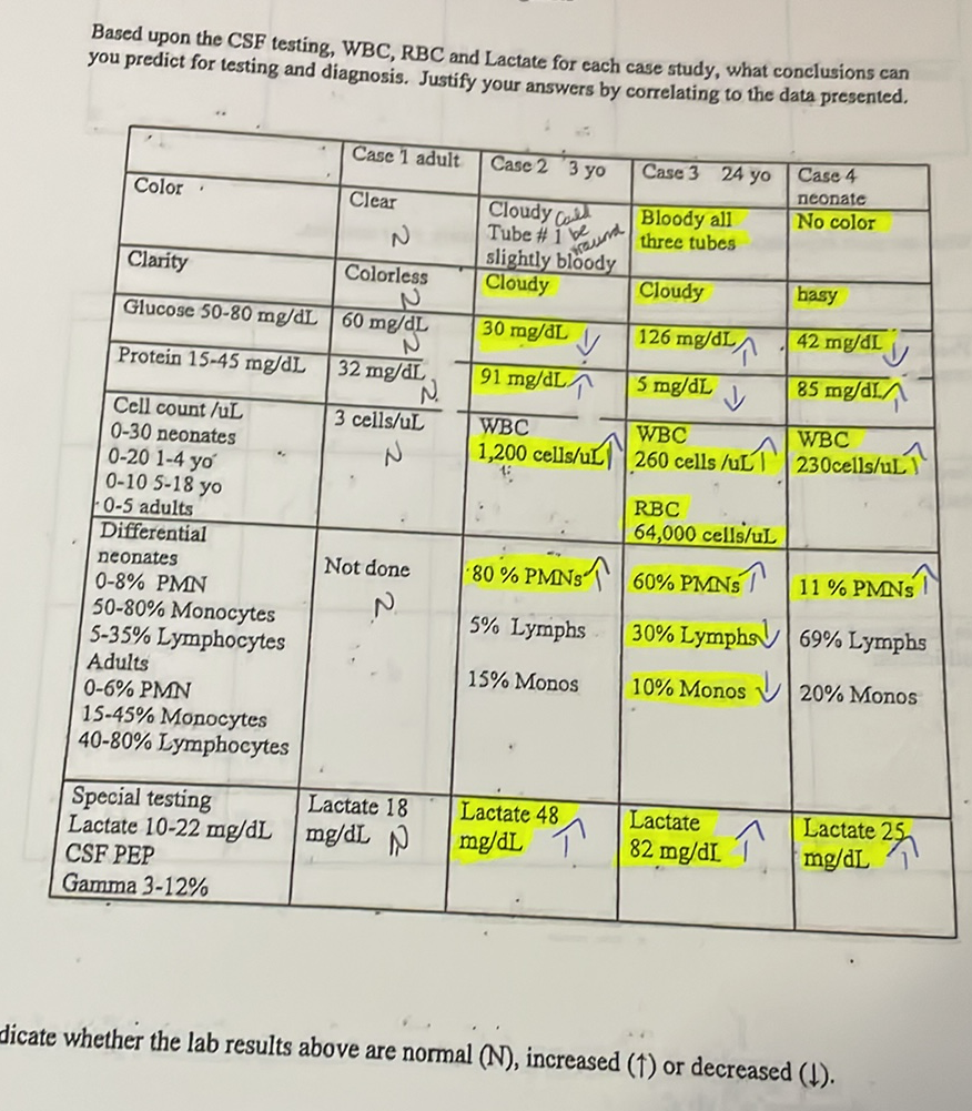 Solved Based upon the CSF testing, WBC, ﻿RBC and Lactate for | Chegg.com