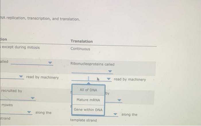 Solved 6. Comparing transcription and translation The | Chegg.com