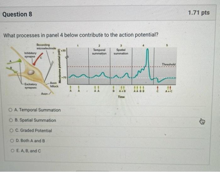 Solved What processes in panel 4 below contribute to the | Chegg.com