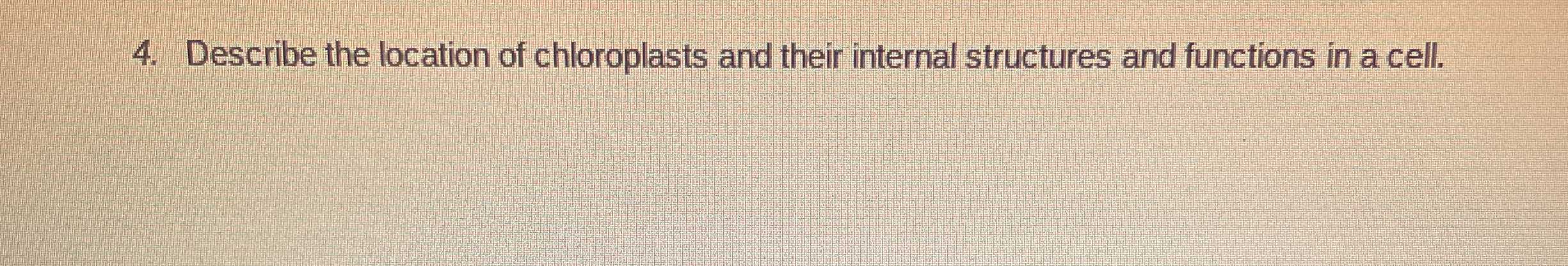 Solved Describe the location of chloroplasts and their | Chegg.com
