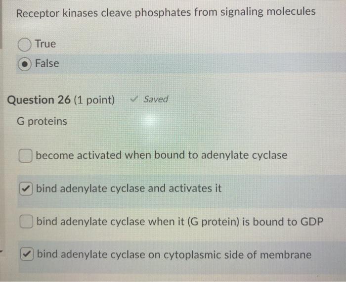 Solved - Question 22 (1 point) Saved Protein kinase A | Chegg.com