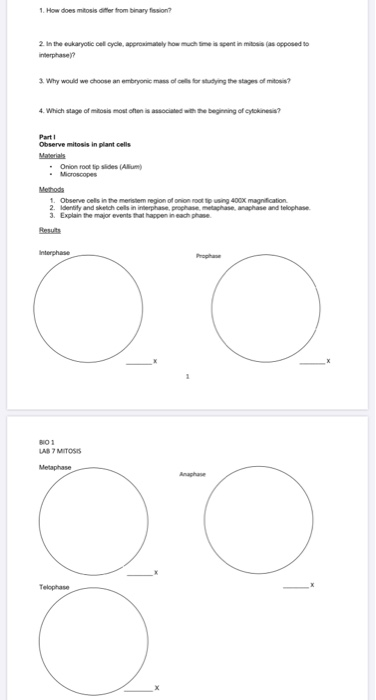Solved 1. How does mitosis differ from binary fission? 2. In | Chegg.com