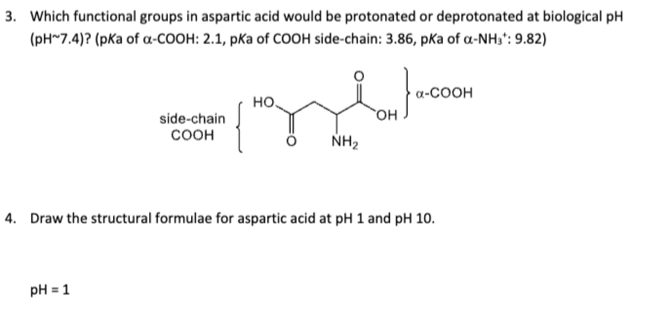 Solved Which functional groups in aspartic acid would be | Chegg.com