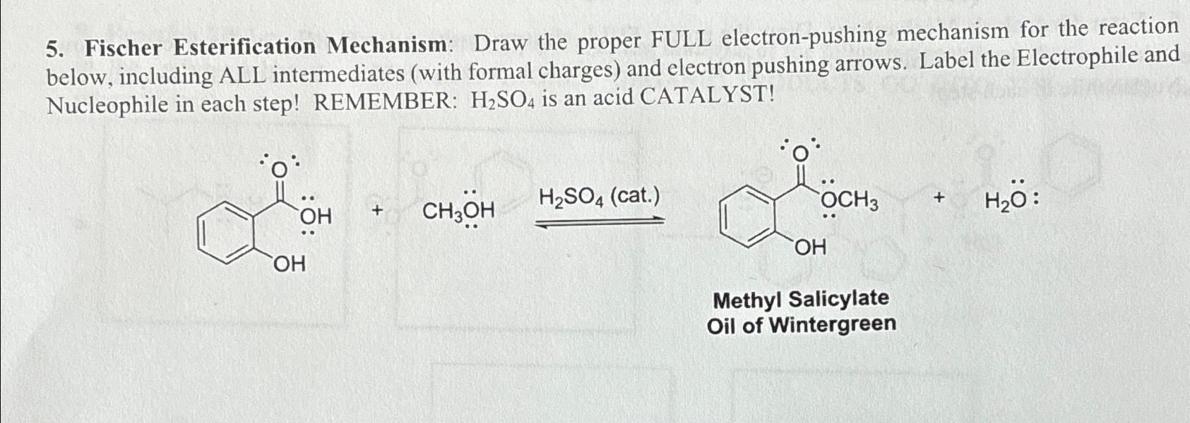 Solved Fischer Esterification Mechanism: Draw the proper | Chegg.com