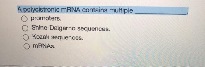 Solved A polycistronic mRNA contains multiple promoters. | Chegg.com