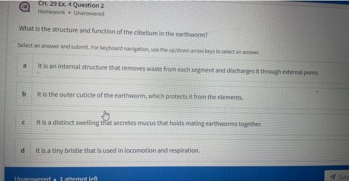 Solved What Is The Structure And Function Of The Clitellum