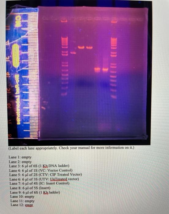 Solved CON III II KUU (Label cach lanc appropriately. Check | Chegg.com