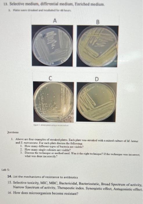 13. Sclective medium, differential medium. Enriched | Chegg.com