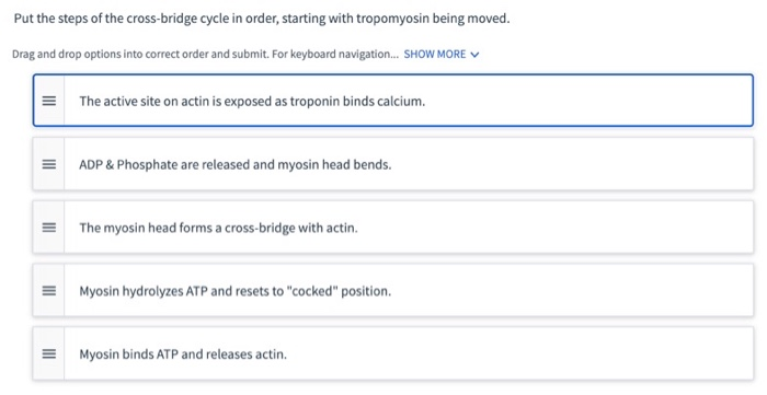 Solved Put the steps of the cross-bridge cycle in order, | Chegg.com