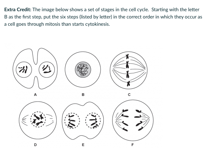 Solved Help Solve. Extra Credit: The image below shows a set | Chegg.com