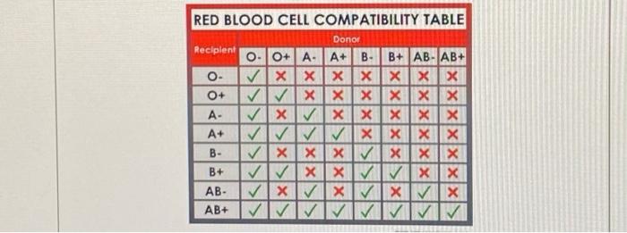 Solved RED BLOOD CELL COMPATIBILITY TABLE Recipient O- O+ A- | Chegg.com