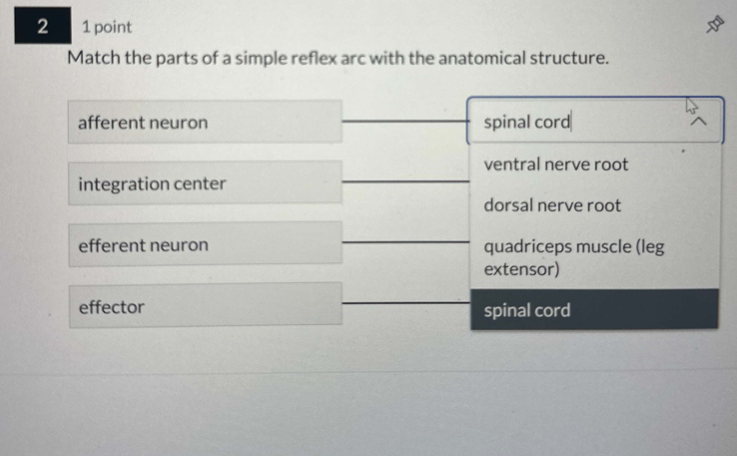 Solved 21 ﻿pointMatch the parts of a simple reflex arc with | Chegg.com