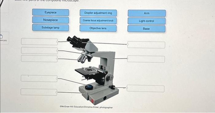 Solved ences Eyepiece Nosepiece Substage lamp Diopter | Chegg.com