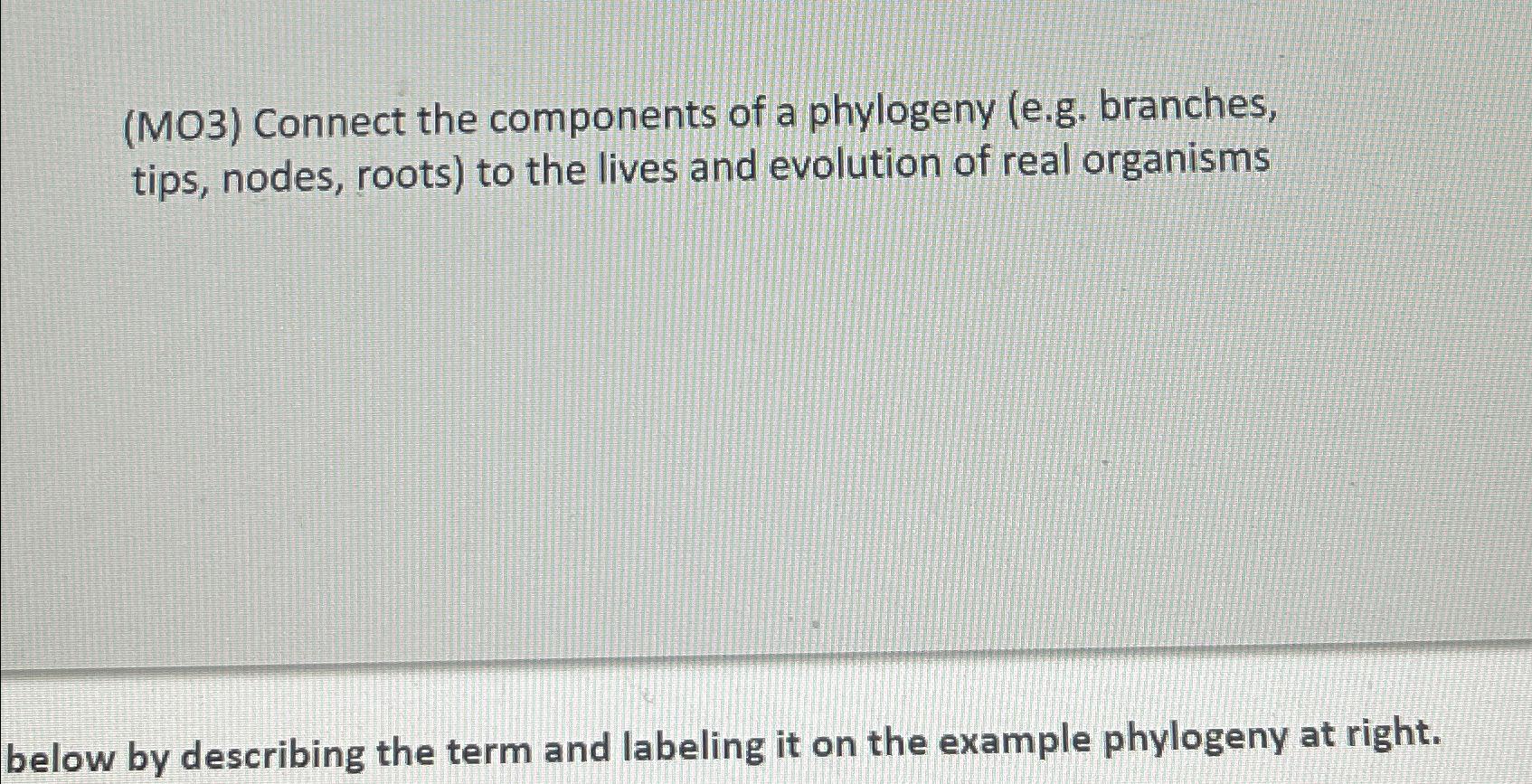 Solved (MO3) ﻿Connect the components of a phylogeny (e.g. | Chegg.com