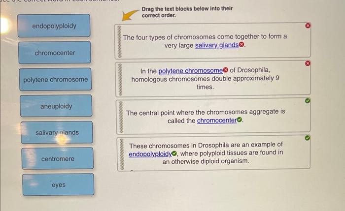 Solved Chromosome alignment A translocation cross is | Chegg.com