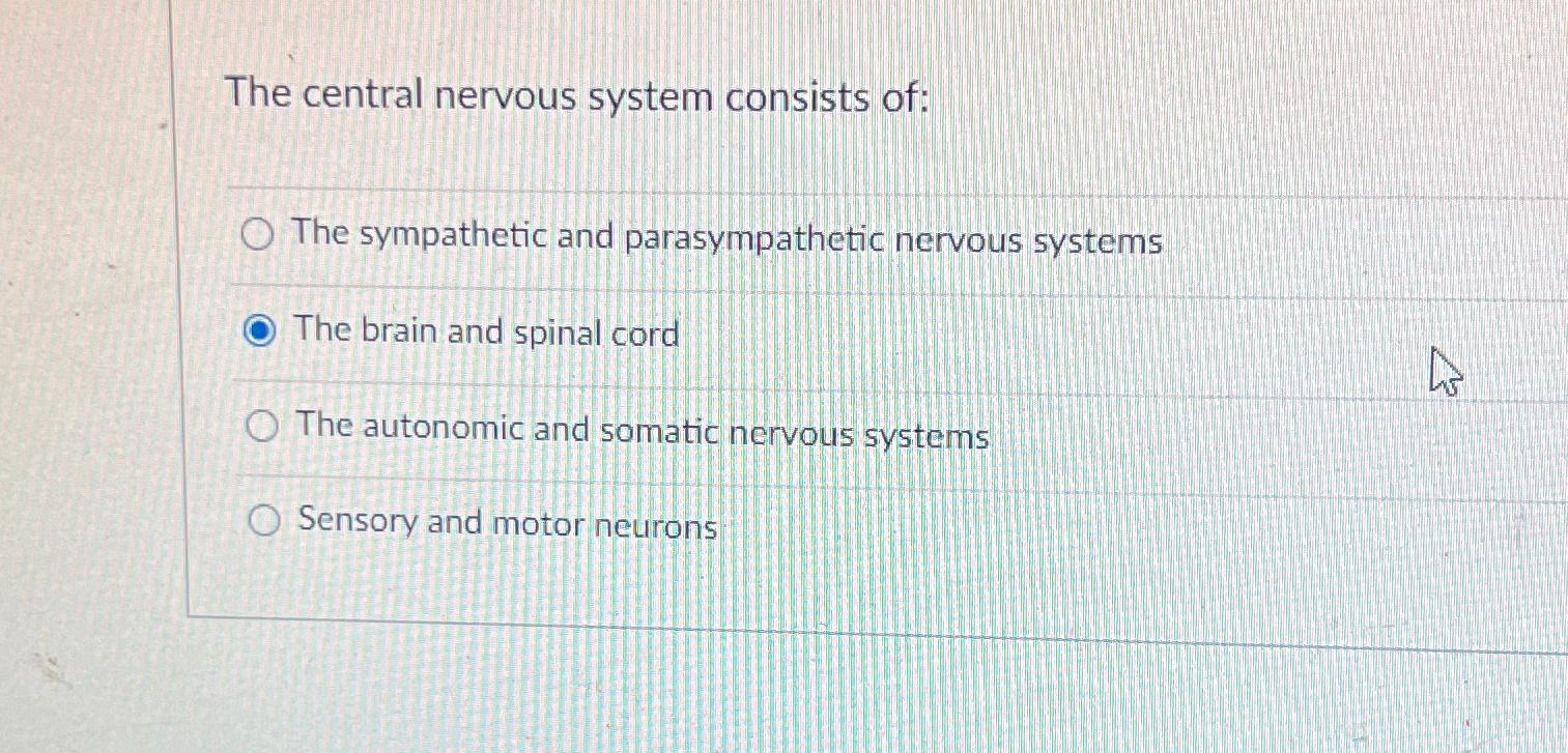 Solved The central nervous system consists of:The | Chegg.com