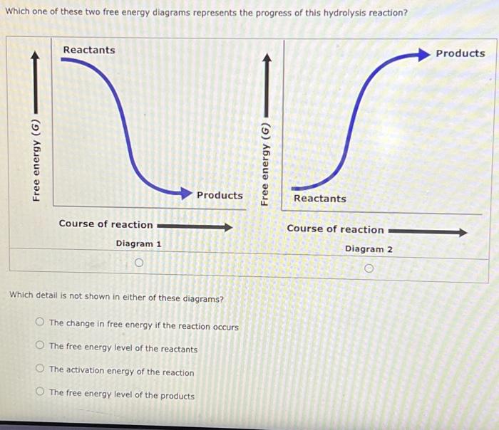 Solved Which one of these two free energy diagrams | Chegg.com