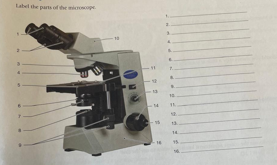 Solved Label the parts of the microscope. | Chegg.com
