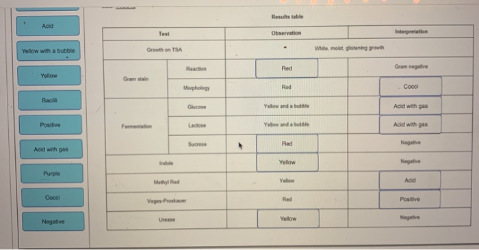 Solved Pala Complete the following results table by | Chegg.com