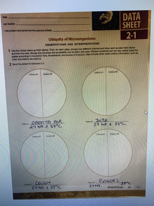 Lab Section DATA SHEET 2-1 I was present and | Chegg.com