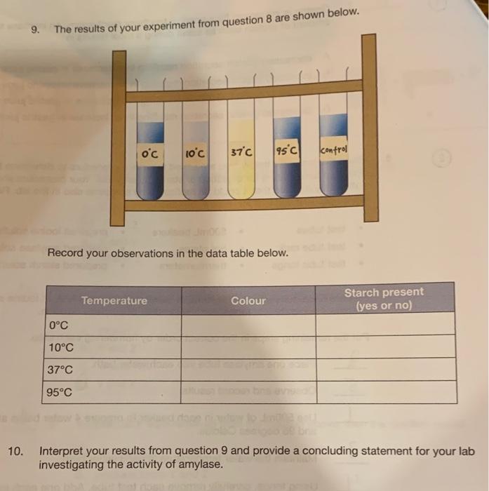 Solved 9. The results of your experiment from question 8 are | Chegg.com