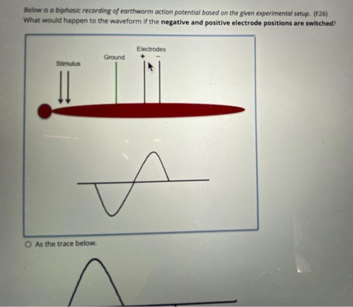 Below is a biphasic recording of earthworm action | Chegg.com